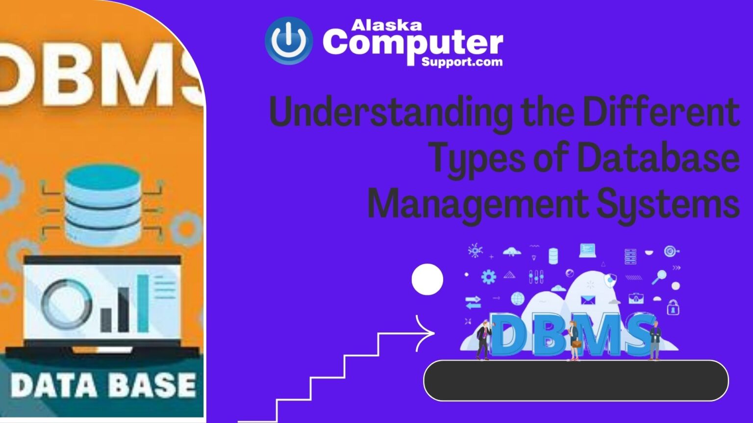 Understanding the Different Types of Database Management Systems ...